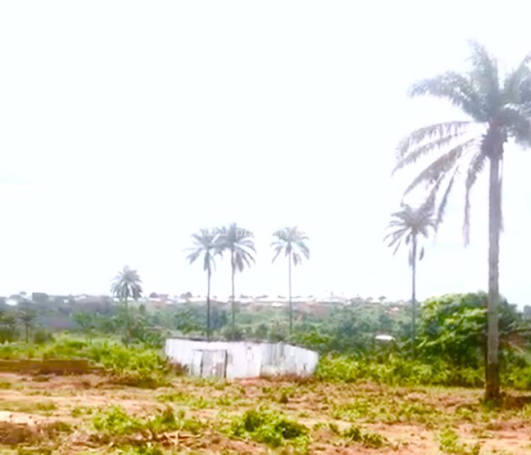 For Sale: 30 Hectares Of Land, Azagba Ogwuashi, Asaba, Delta | Nigeria ...