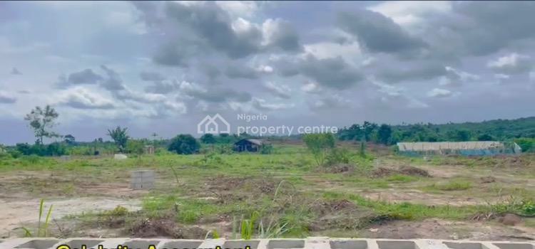 For Sale: Affordable Land, Epe, Lagos | Nigeria Property Centre (Ref ...