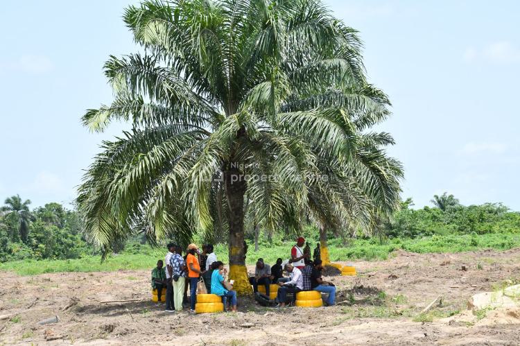 For Sale: 500sqm Land Available, Eko Ranch Estate, Igbonla Behind St ...