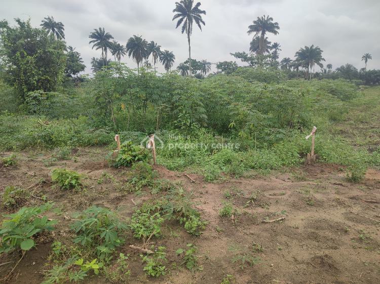 For Sale: Prime Land; Affordable Plots, Iriebe Link Road, Behind Pamo ...