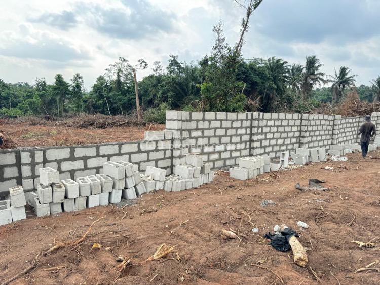 For Sale: Build A Mini Estate In Your Name In The Biggest Cities, The ...