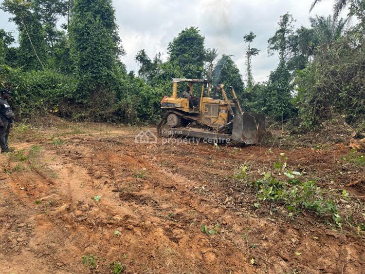 For Sale: Build A Mini Estate In Your Name In The Biggest Cities, The ...