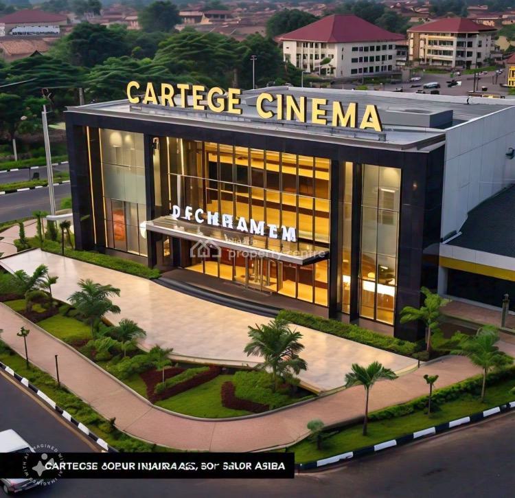 For Sale: Massive Cinema Sitting On 6000sqm, Okpanam Road, Opposite ...