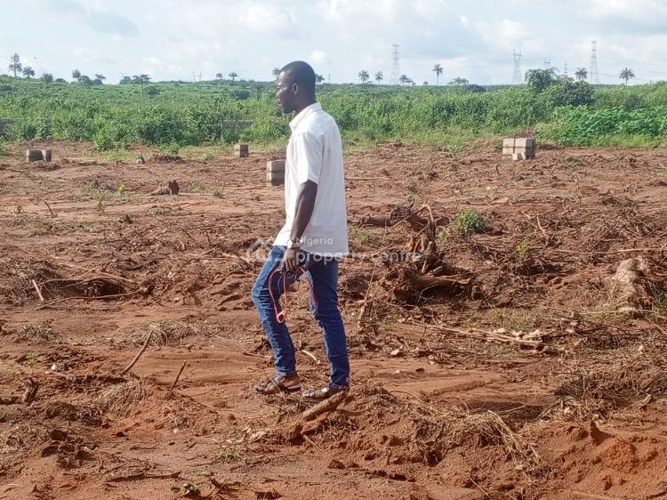 For Sale: Land At Flourish City Bayelsa By Pwan Homes, Bayelsa Palm ...