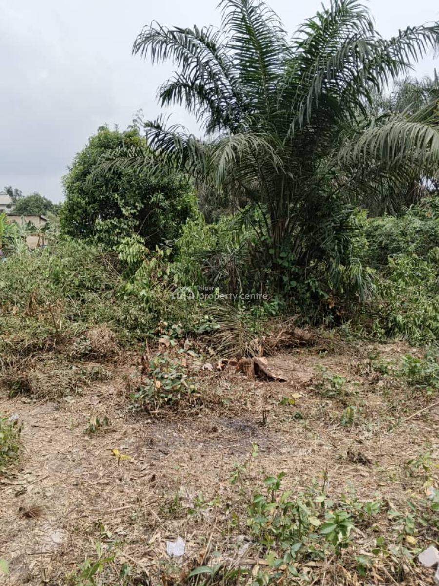 For Sale: 5 Acres Of Dry Up Land In A Developing Area, Pakuro, Via ...