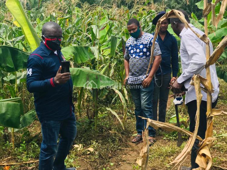 For Sale: Investment In Plantain Farm To Get Interest Every 6 Months, West Agro Farm, Remo North ...